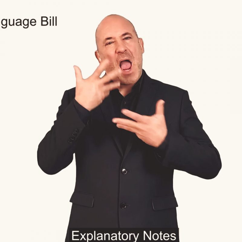 The Difference between BSL & SSE - British Deaf Association